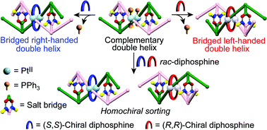Chiral tether-mediated stabilization and helix-sense control of ...