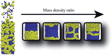 Particle segregation in a sedimenting bidisperse soft sphere system ...