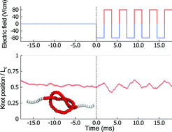 Driving knots on DNA with AC/DC electric fields: topological friction ...