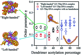 Monte-Carlo simulations of PAMAM dendrimer–DNA interactions - Soft ...