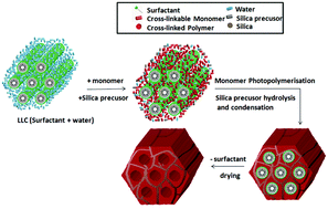 Retention of the original LLC structure in a cross-linked poly(ethylene ...