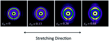 Structural response of an ordered block copolymer melt to uniaxial extensional flow - Soft ...
