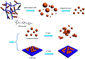 Self-assembly of an azobenzene-containing polymer prepared by a multi ...