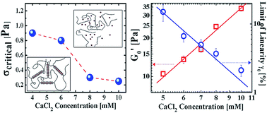 Formation and rupture of Ca2+ induced pectin biopolymer gels - Soft ...