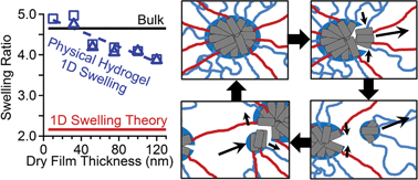 Overcoming confinement limited swelling in hydrogel thin films using ...