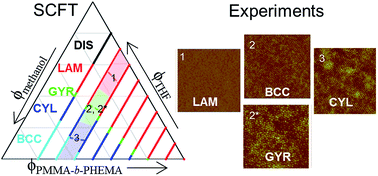 Phase behaviour of PMMA-b-PHEMA with solvents methanol and THF ...