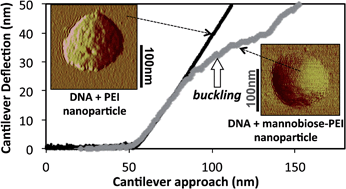 DNA nanoparticles with core–shell morphology - Soft Matter (RSC Publishing)