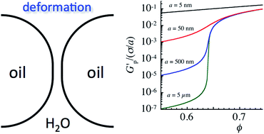 Crossover between entropic and interfacial elasticity and osmotic ...