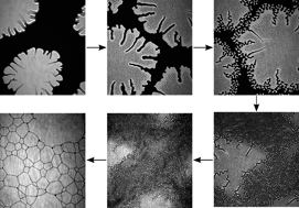 Microphase formation at a 2D solid–gas phase transition - Soft Matter ...