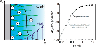 Electrokinetics as an alternative to neutron reflectivity for ...