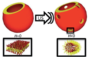 Role of lipid polymorphism in acoustically sensitive liposomes - Soft ...
