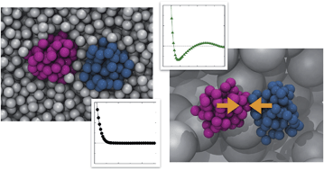 Unusual size-dependence of effective interactions between collapsed ...
