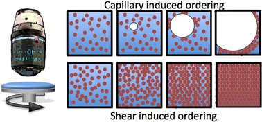 On the mechanisms of colloidal self-assembly during spin-coating - Soft ...