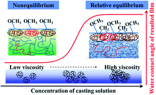 Surface structures of poly(methyl methacrylate) films influenced by ...