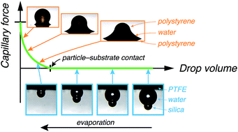 Evaporation of a capillary bridge between a particle and a surface ...