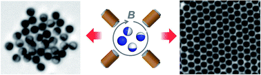 Rotating crystals of magnetic Janus colloids - Soft Matter (RSC Publishing)