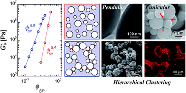 On the rheology of pendular gels and morphological developments in ...