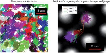 Connecting short and long time dynamics in hard-sphere-like colloidal ...