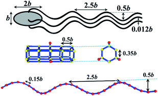 A bead-spring model for running and tumbling of flagellated swimmers ...
