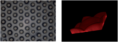 Swelling-induced surface instability patterns guided by pre-introduced ...