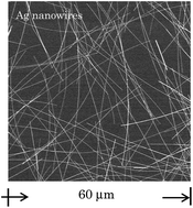 Facile synthesis of very-long silver nanowires for transparent ...