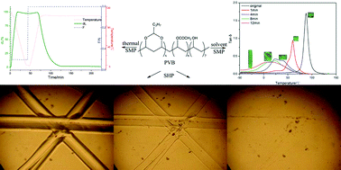 Poly(vinyl butyral) based polymer networks with dual-responsive shape ...