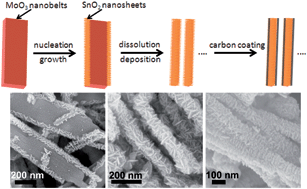 Fabrication of one-dimensional SnO2/MoO3/C nanostructure assembled of ...