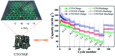 3D nitrogen-doped graphene foams embedded with ultrafine TiO2 ...