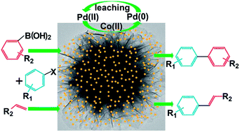 Monodispersed Pd clusters generated in situ by their own reductive ...