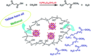 Heteropoly acid and ZrO2 bifunctionalized organosilica hollow ...