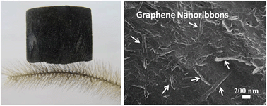 Multifunctional graphene sheet–nanoribbon hybrid aerogels - Journal of ...