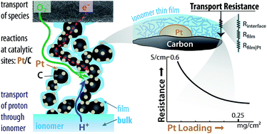 Unexplained transport resistances for low-loaded fuel-cell catalyst ...