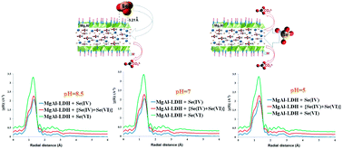EXAFS and FTIR studies of selenite and selenate sorption by alkoxide ...