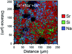 Understanding the defect chemistry of alkali metal strontium silicate ...