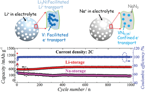 Reaction pathway and wiring network dependent Li/Na storage of micro ...