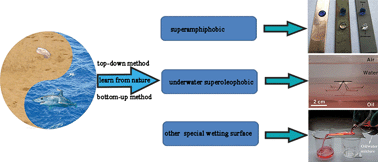 Biomimetic superoleophobic surfaces: focusing on their fabrication and ...