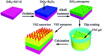 Enhanced thermal shock resistance of ultra-high temperature ceramic by ...