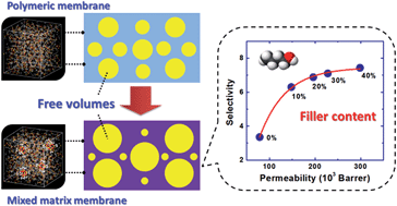 Mixed matrix membranes with molecular-interaction-driven tunable free ...