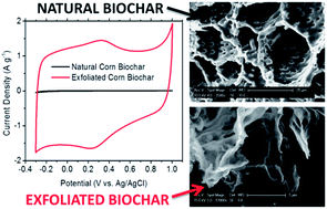 High capacitive performance of exfoliated biochar nanosheets from ...