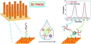 Three-dimensional porous microarray of gold modified electrode for ...