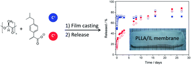 Drug delivery systems based on pharmaceutically active ionic liquids ...