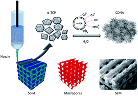 Robocasting of biomimetic hydroxyapatite scaffolds using self-setting ...