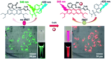 A facile “click” reaction to fabricate a FRET-based ratiometric ...
