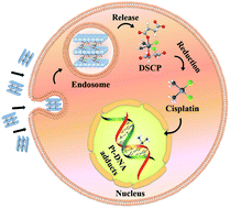 Novel Pt-loaded layered double hydroxide nanoparticles for efficient ...