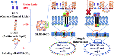 Co-liposomes comprising a lipidated multivalent RGD-peptide and a ...