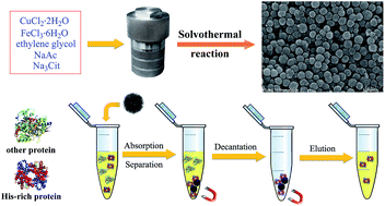 One-pot synthesis of CuFe2O4 magnetic nanocrystal clusters for highly ...