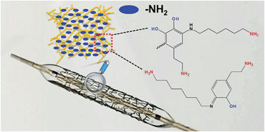 A biocompatible and functional adhesive amine-rich coating based on ...