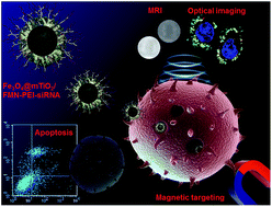 Magnetically guided survivin-siRNA delivery and simultaneous dual-modal imaging visualization ...
