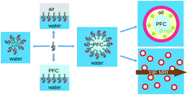 Perfluorocarbon nanodroplets stabilized by fluorinated surfactants ...