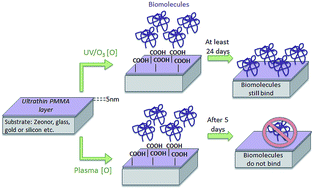 Fabrication and characterisation of spin coated oxidised PMMA to ...